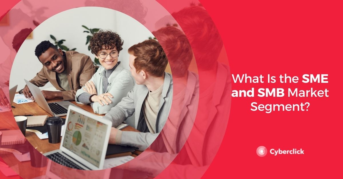 What Is The Sme And Smb Market Segment